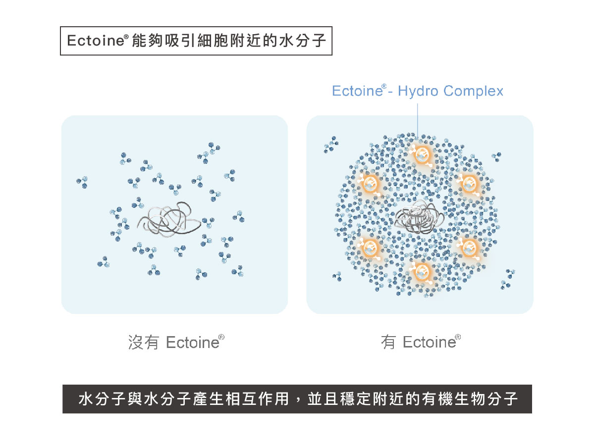 濕疹敏弱｜Wasser麗澤膚適軟膏7% Reich Pharm