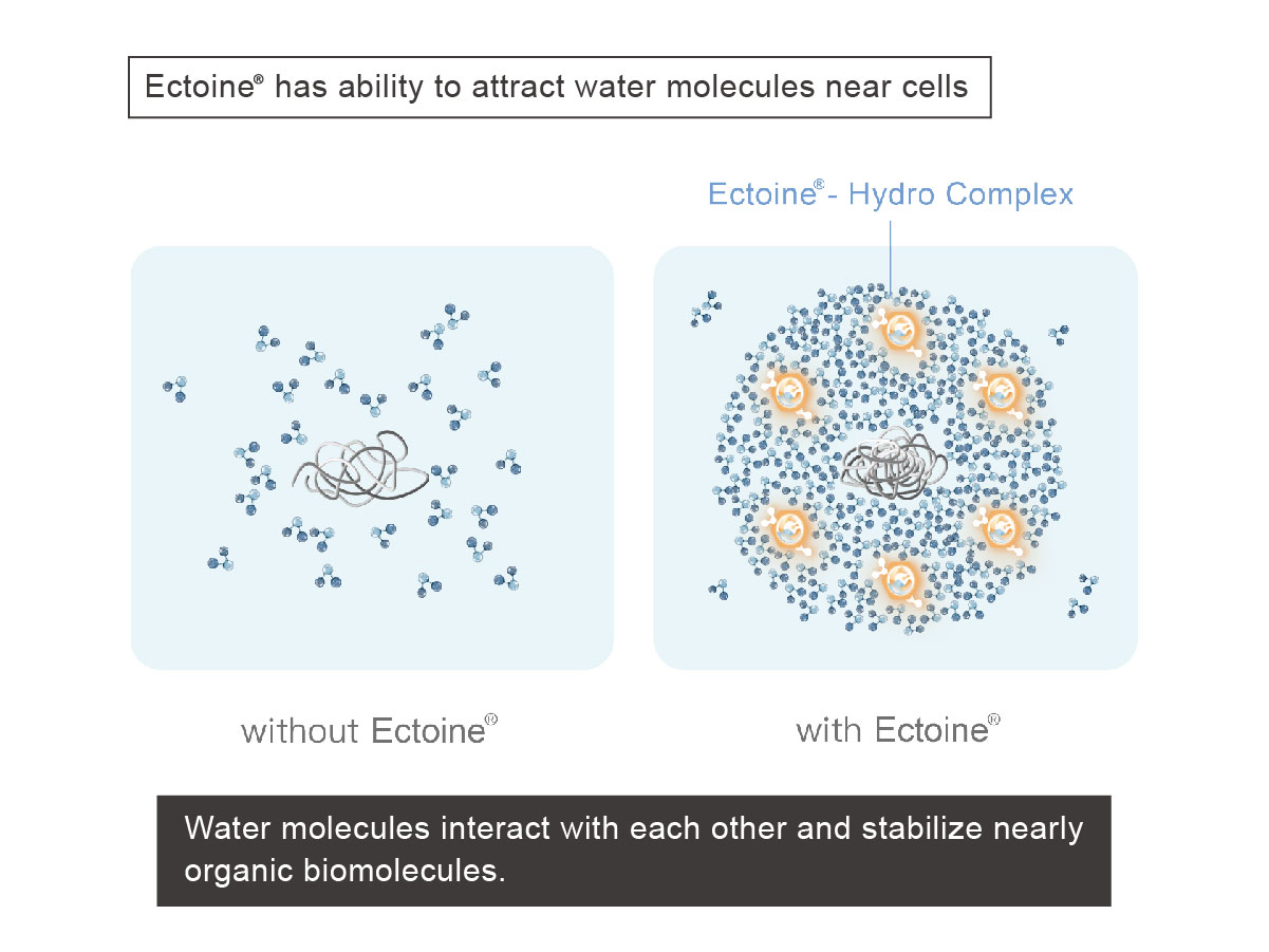 Wasser cream Reich Pharm
