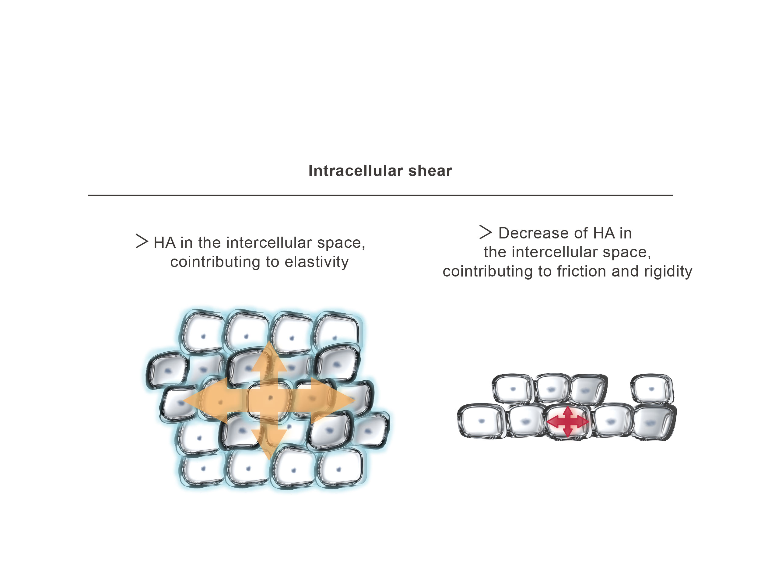 HYLO GEL® Reich Pharm
