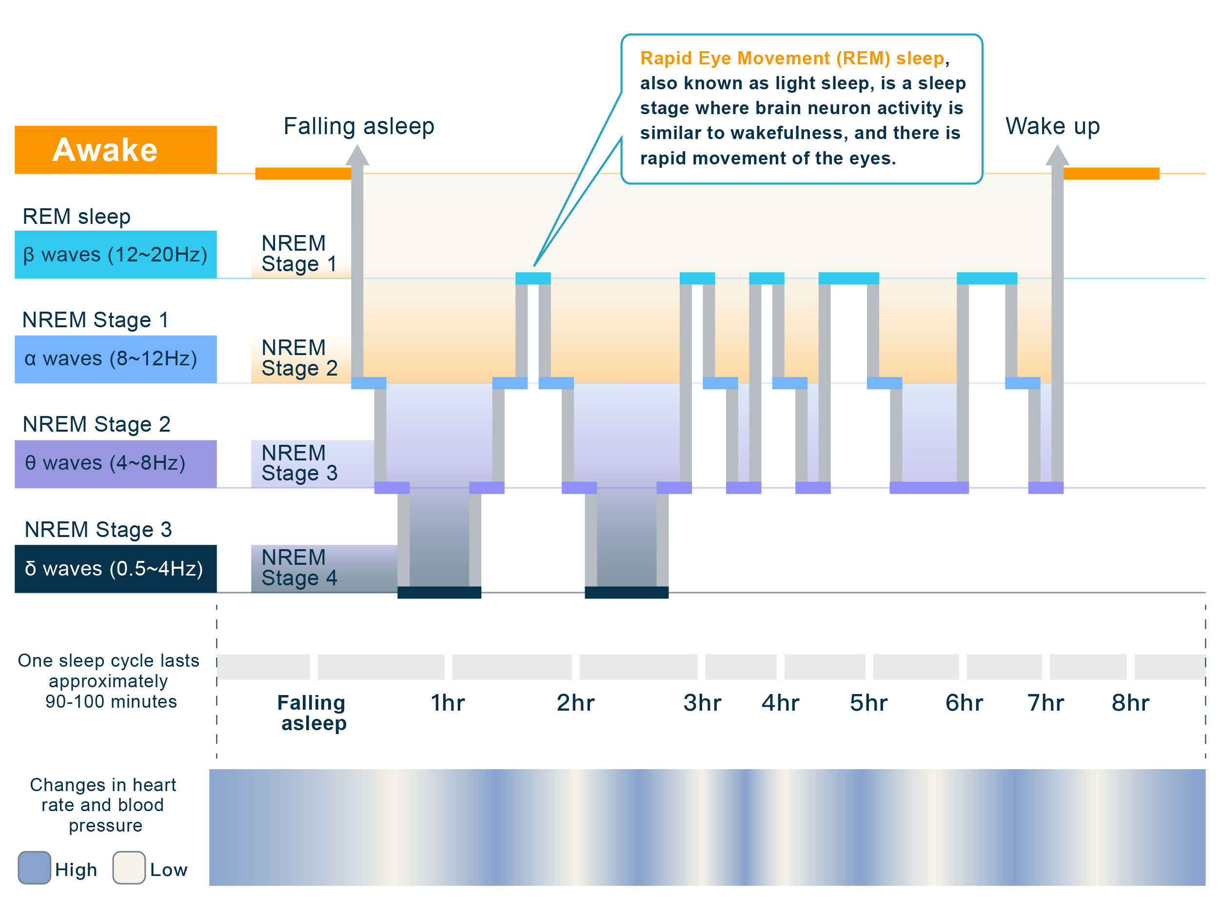 Somniphyt® Total Night LP Reich Pharm
