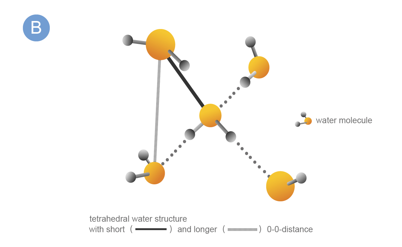 Ectoin®: The Magical Ingredient Stabilizing the Skin Reich Pharm