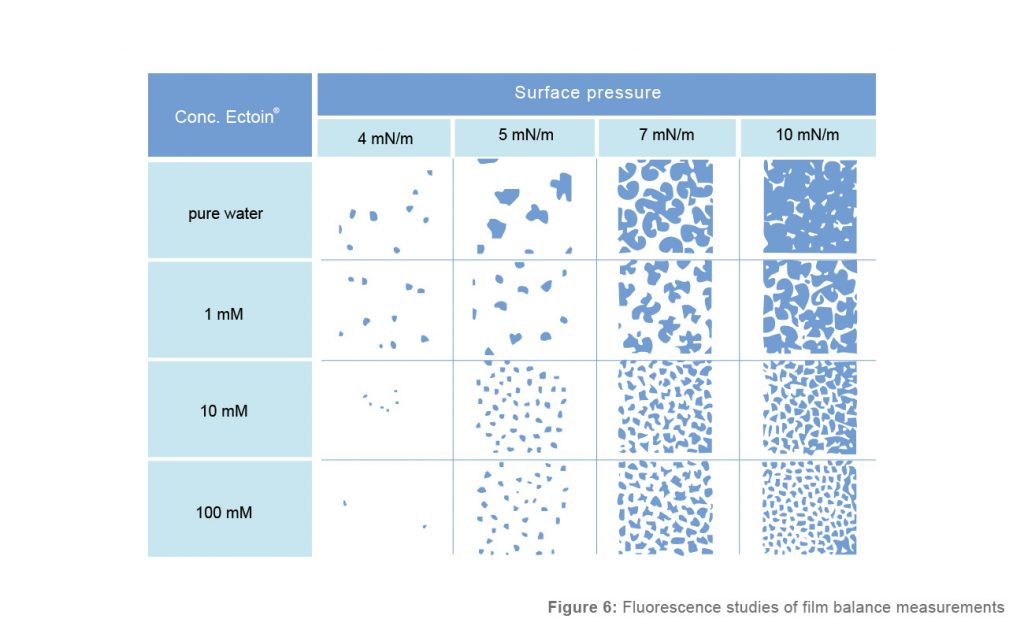 Ectoin®: The Magical Ingredient Stabilizing the Skin Reich Pharm