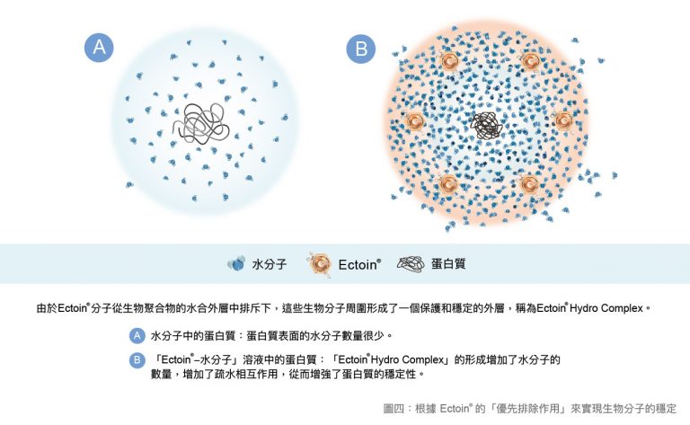 Ectoin®：穩定皮膚的神奇成份，來自極端環境的細胞保護分子！ Reich Pharm
