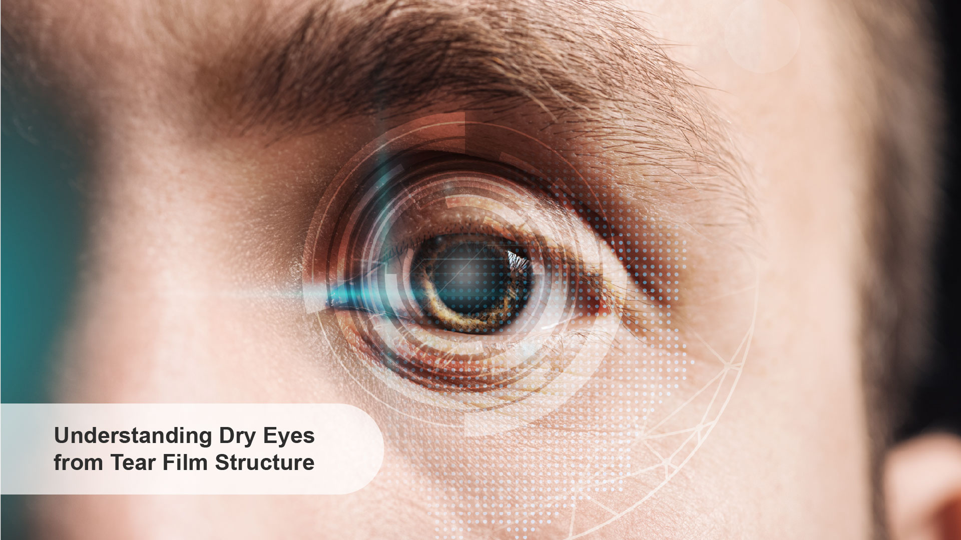 Understanding Dry Eyes from Tear Film Structure Reich Pharm
